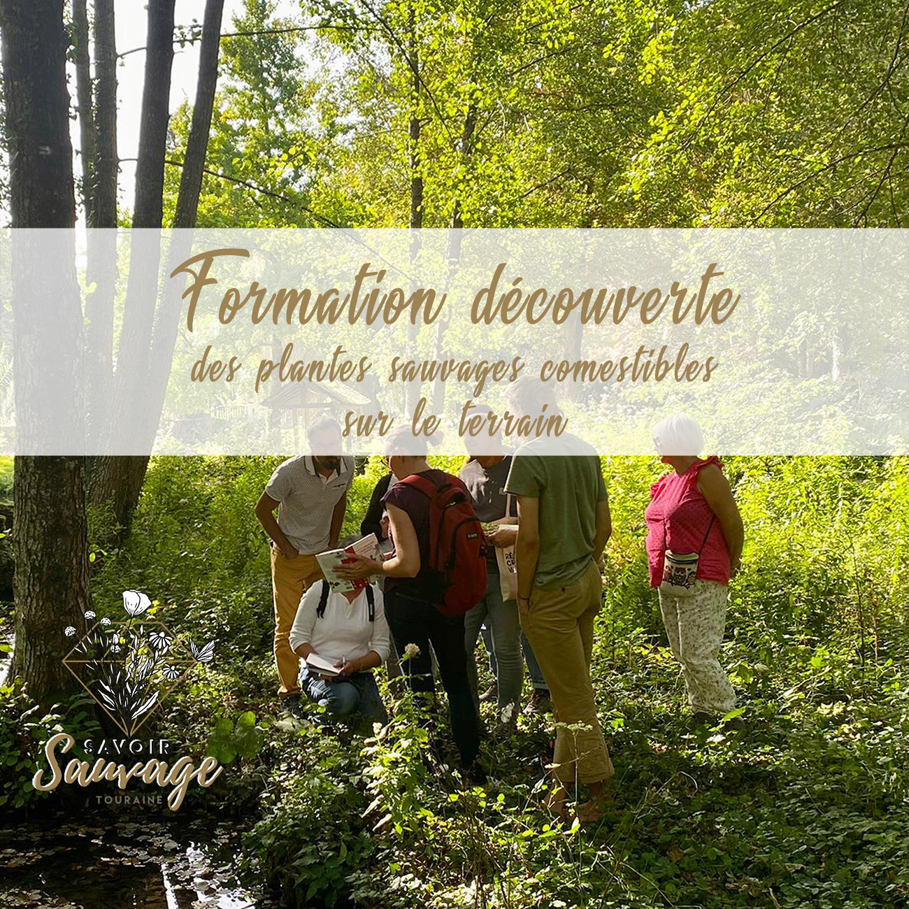 Balade d’initiation aux plantes sauvages comestibles - Savoir Sauvage ...